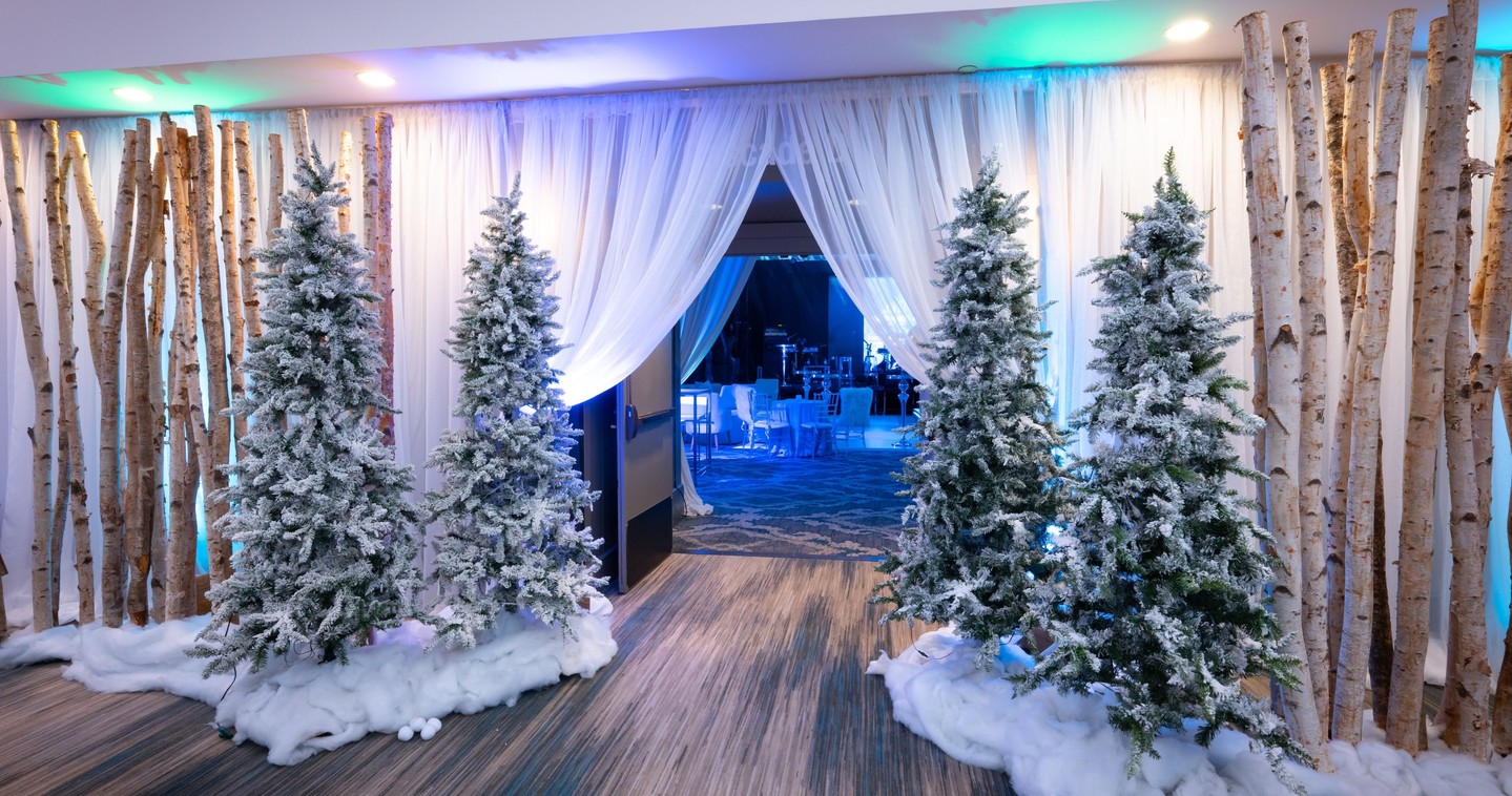 Backdrops - Colorado Event Design & Rentals for Corporate and Weddings